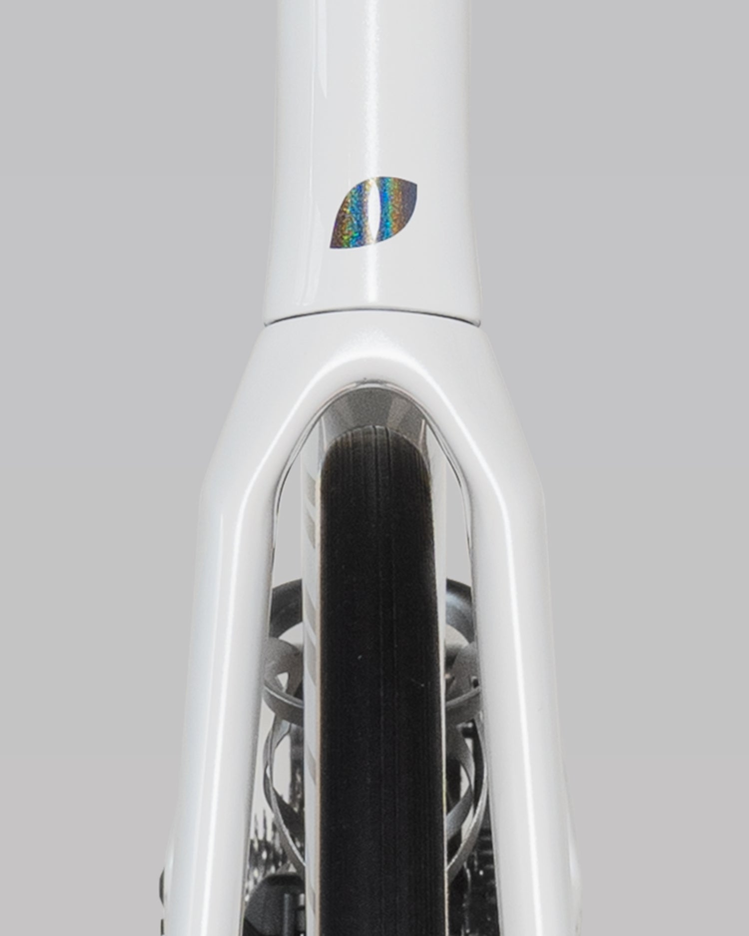 RL1 – Raptor Bikes