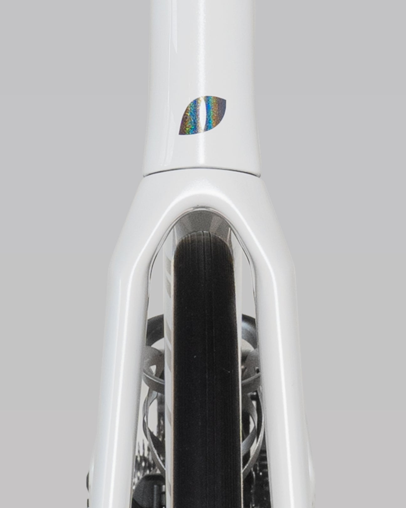 RL1 – Raptor Bikes